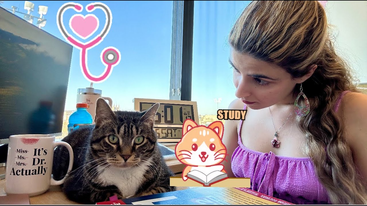 Study With Me & Kitty!!! 📚🩺👩🏻‍⚕️ 3 hours 13 minute study session #chillmusic #studywithme #study ...