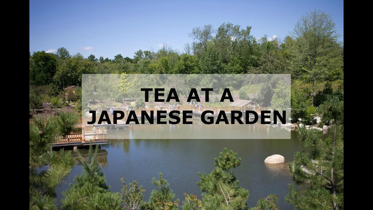 Tea at a Japanese Garden | Frederik Meijer Gardens - YouTube