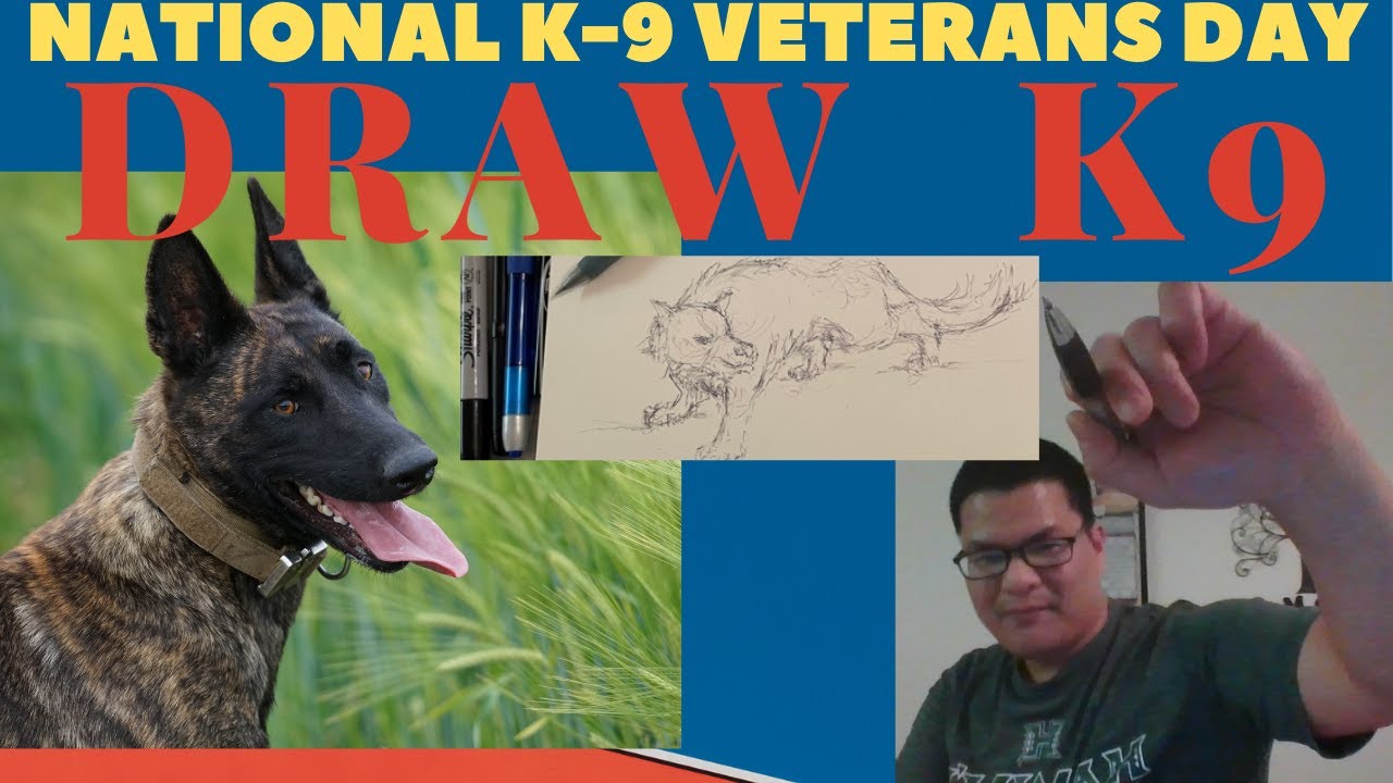 Draw A K-9 For National K-9 Veterans Day! - YouTube