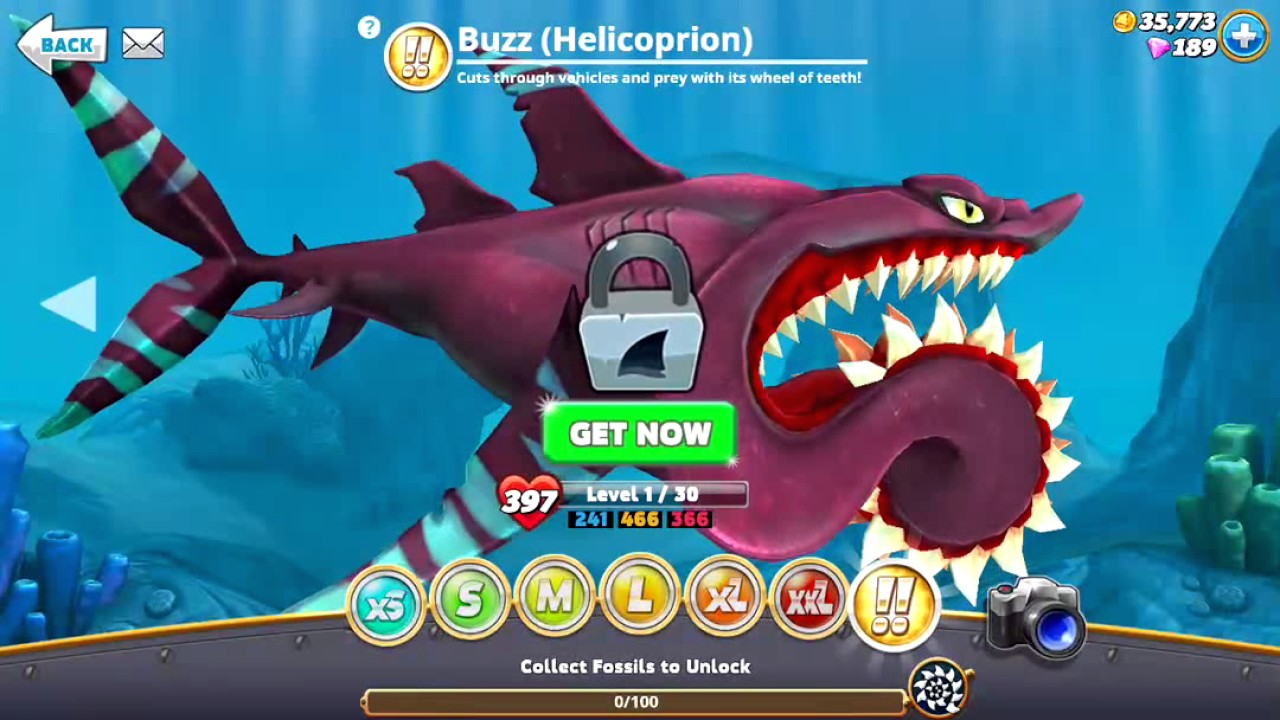 THE SHARK WEEK UPDATE - NEW SHARK HELICOPRION BUZZSAW KILLER - YouTube