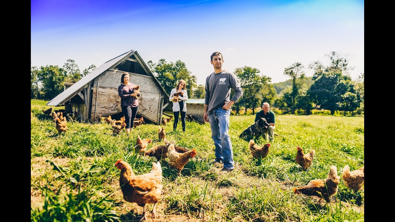 Grand View Farm Virtual Pasture Tour - YouTube