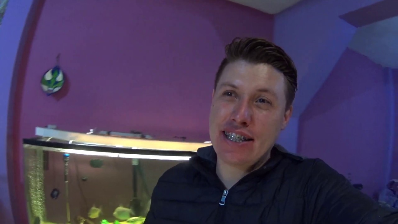 Me retiro de los acuarios??? (Mario Blogs) - YouTube