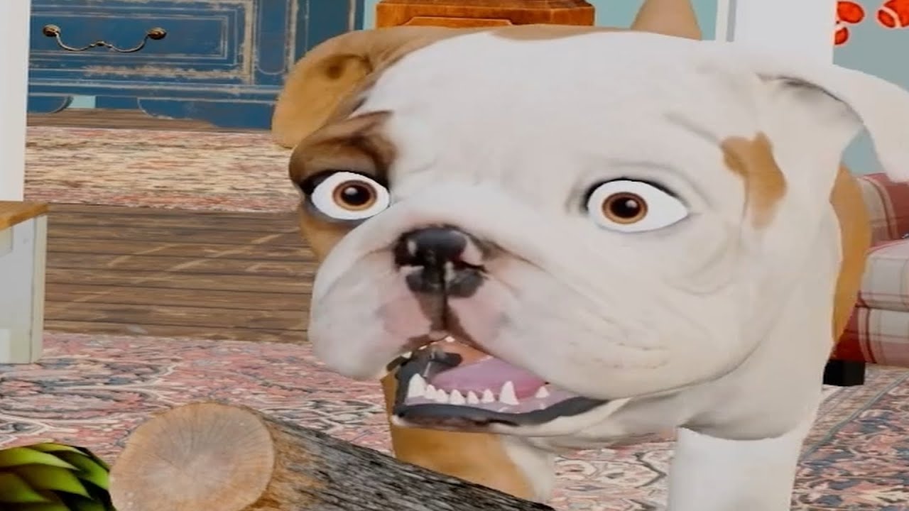 Animation shorts: Margo and Bun (DOG CARTOON SHEEP 3) | Animated short ...