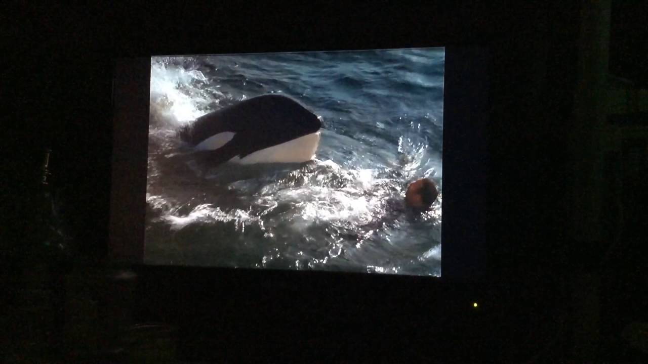 Free Willy 3: The Rescue: Willy's Humanity - YouTube