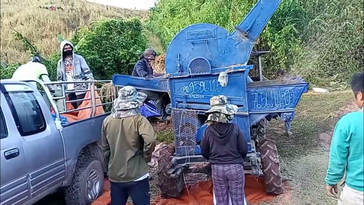 hnub no peb mu ntau nplej lom zem tiag2 24/10/2023 - YouTube