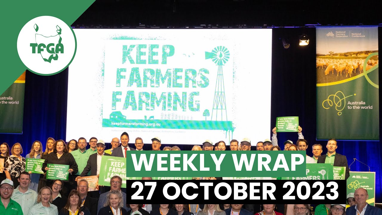 TFGA Weekly Wrap - 27 October 2023 - YouTube
