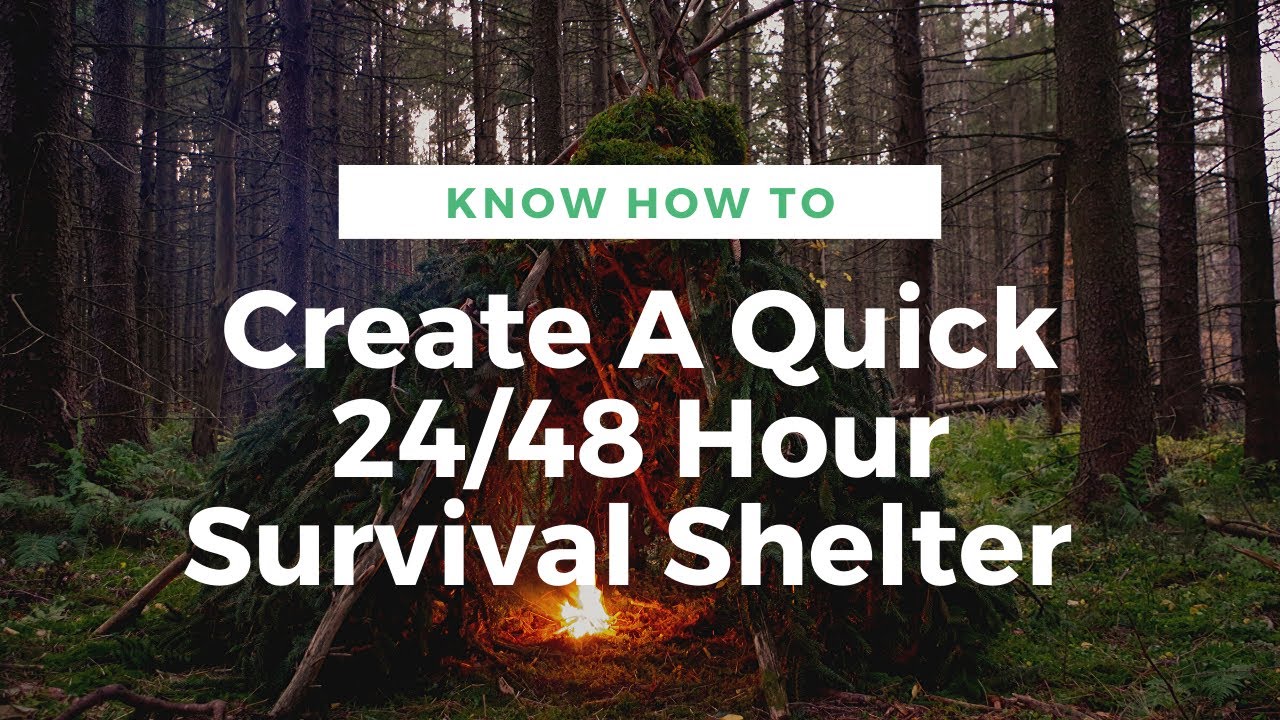Know How to Create A Quick 24/48 Survival Shelter or Primitive Bed. Paleo Tracks Survival - YouTube