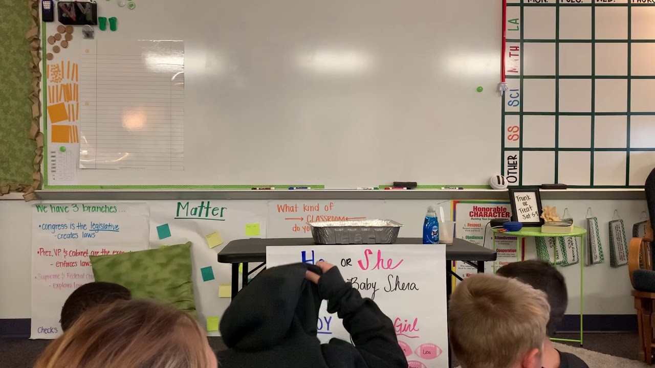 Gender Reveal in my classroom - YouTube