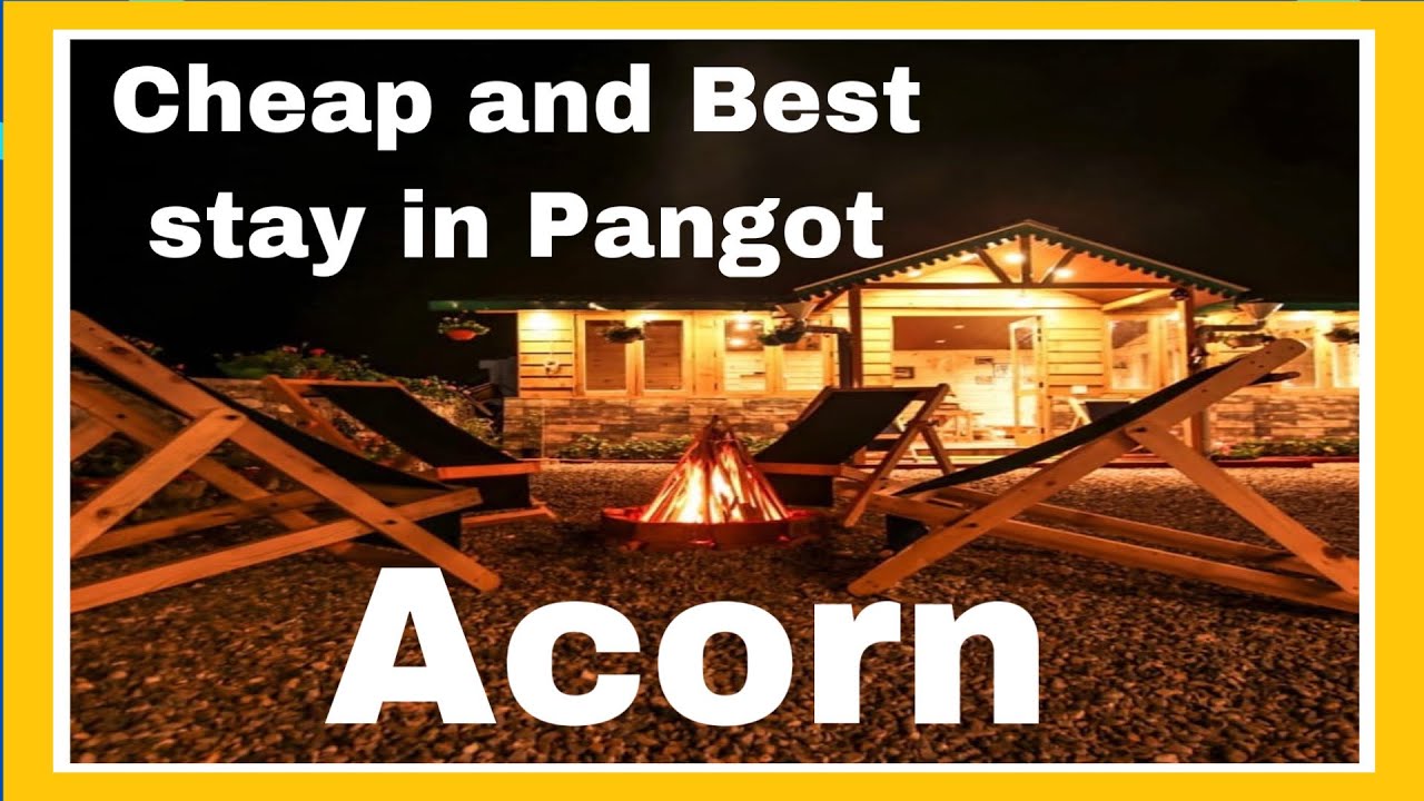 BEST WEEKEND GETAWAY FROM DELHI I BEST STAY IN PANGOT I ACORN PANGOT I ...