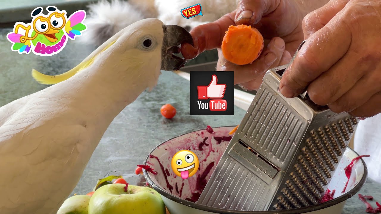 Masterchef, the best cooking from Chef Charlie Parrot - YouTube