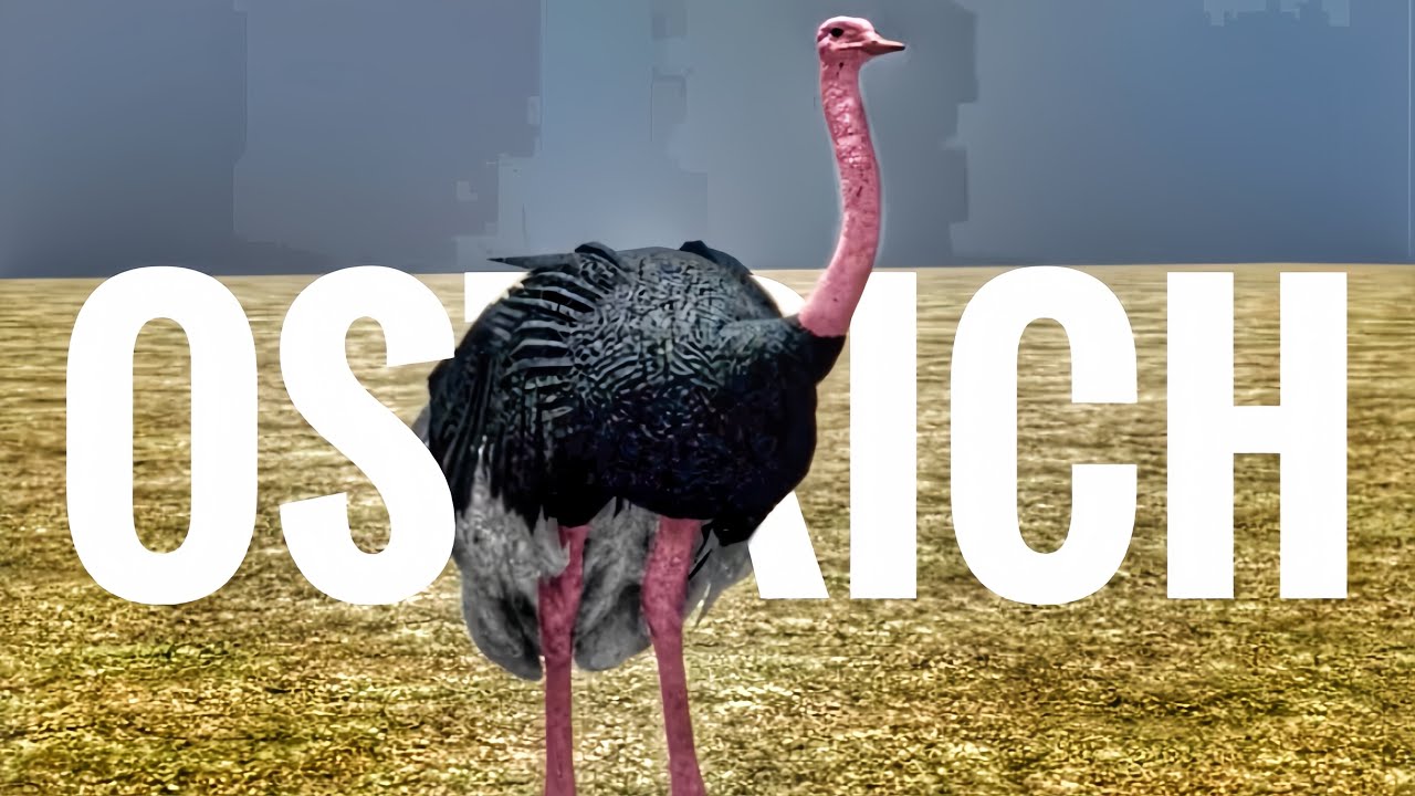 NEW RECODE UPDATE OSTRICH FINALIZED EMOTES! | Wild Savannah Roblox ...