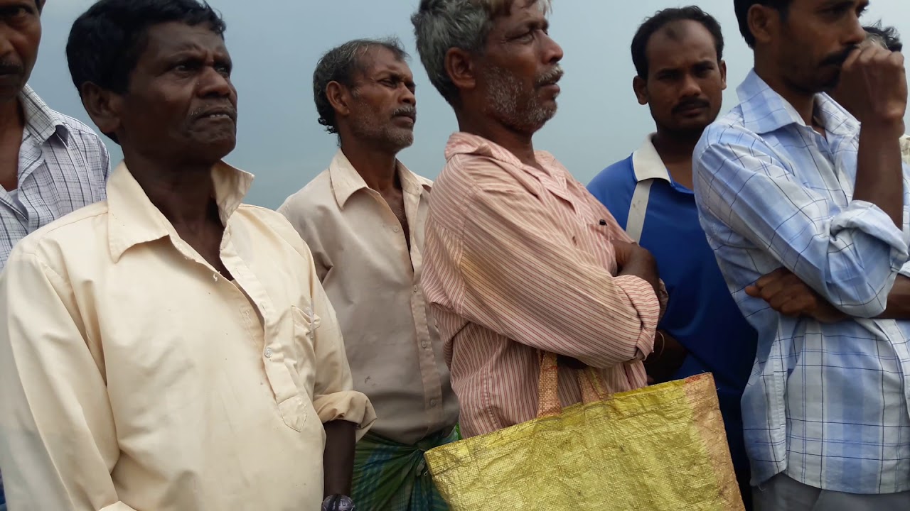 Nunhems Okra Samrat "The King of Quality" - YouTube