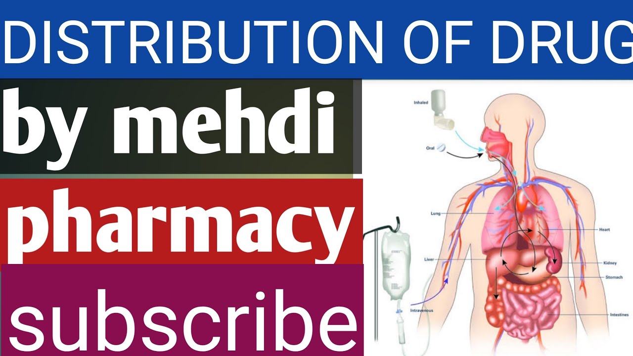 Distribution of drug pharmacology distribution of drug in body ...