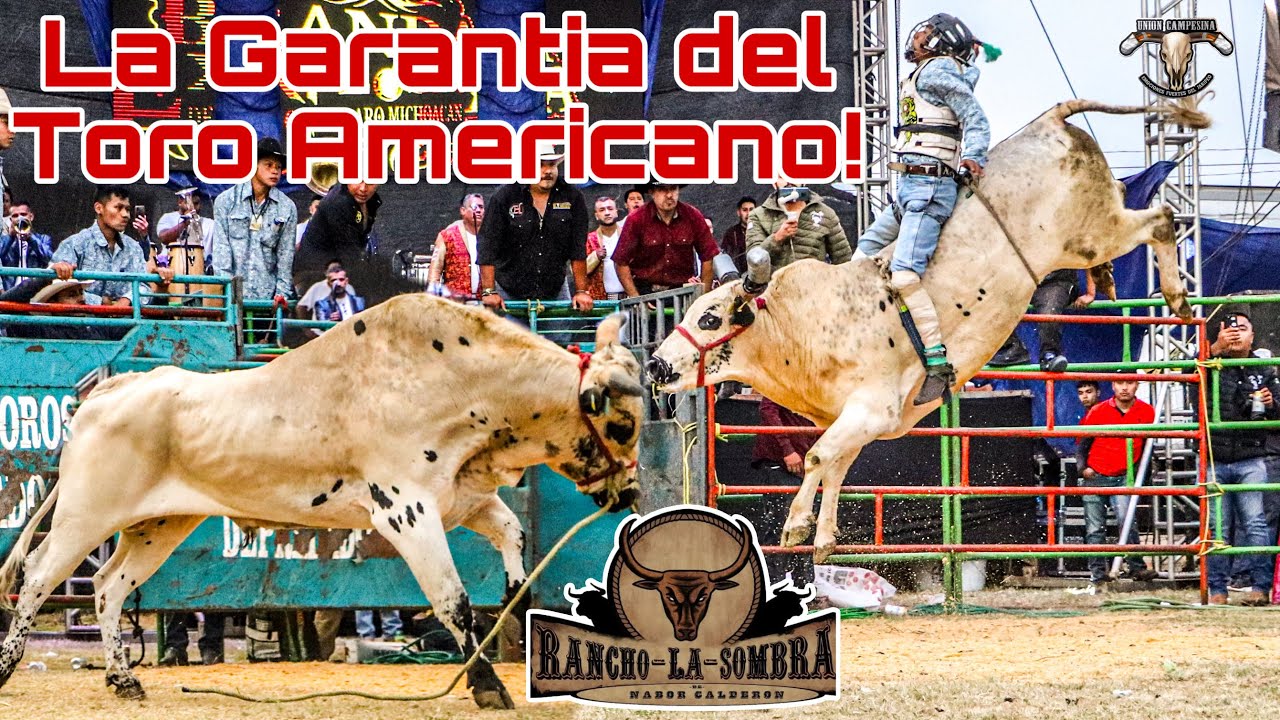 La Garantia del Toro Americano ! Rancho La Sombra en El Pantano ...