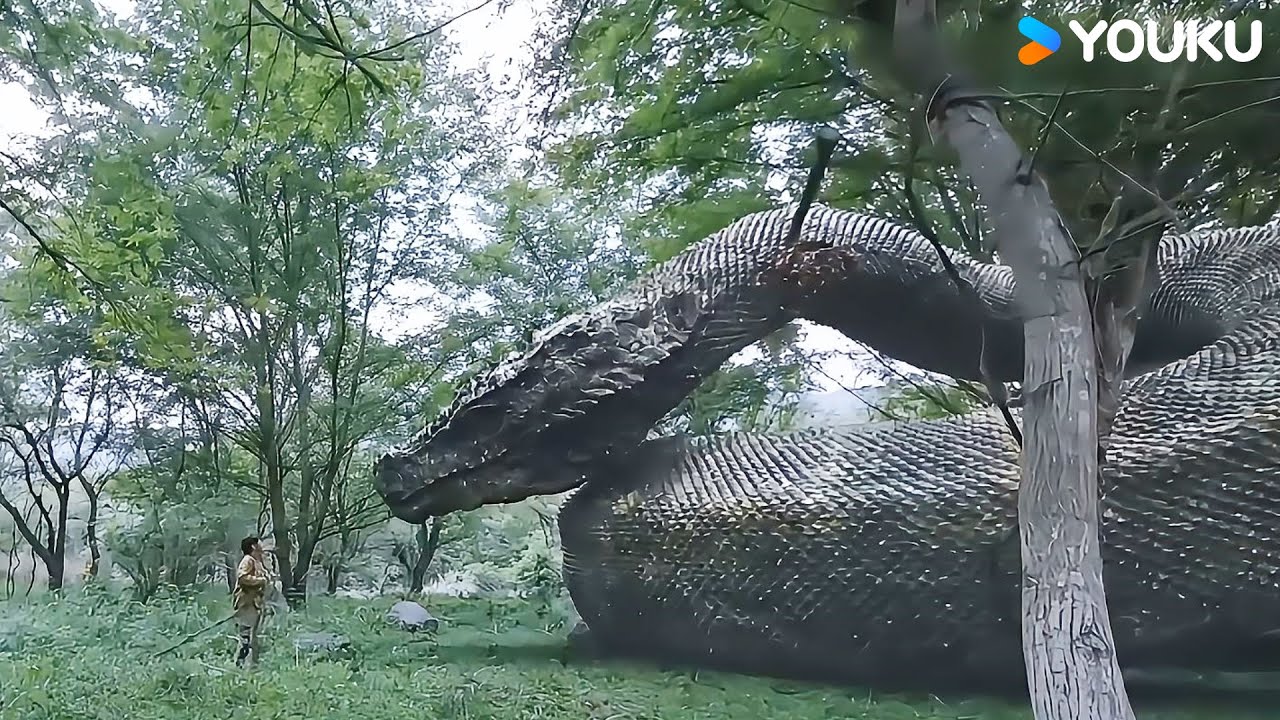 Oops, the big snake actually saved the little boy! | Snake 3 | YOUKU MONSTER MOVIE - YouTube