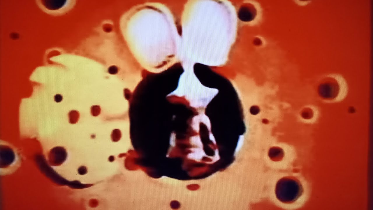 Reaction To The Mysterious Case Of Rap Rat - YouTube