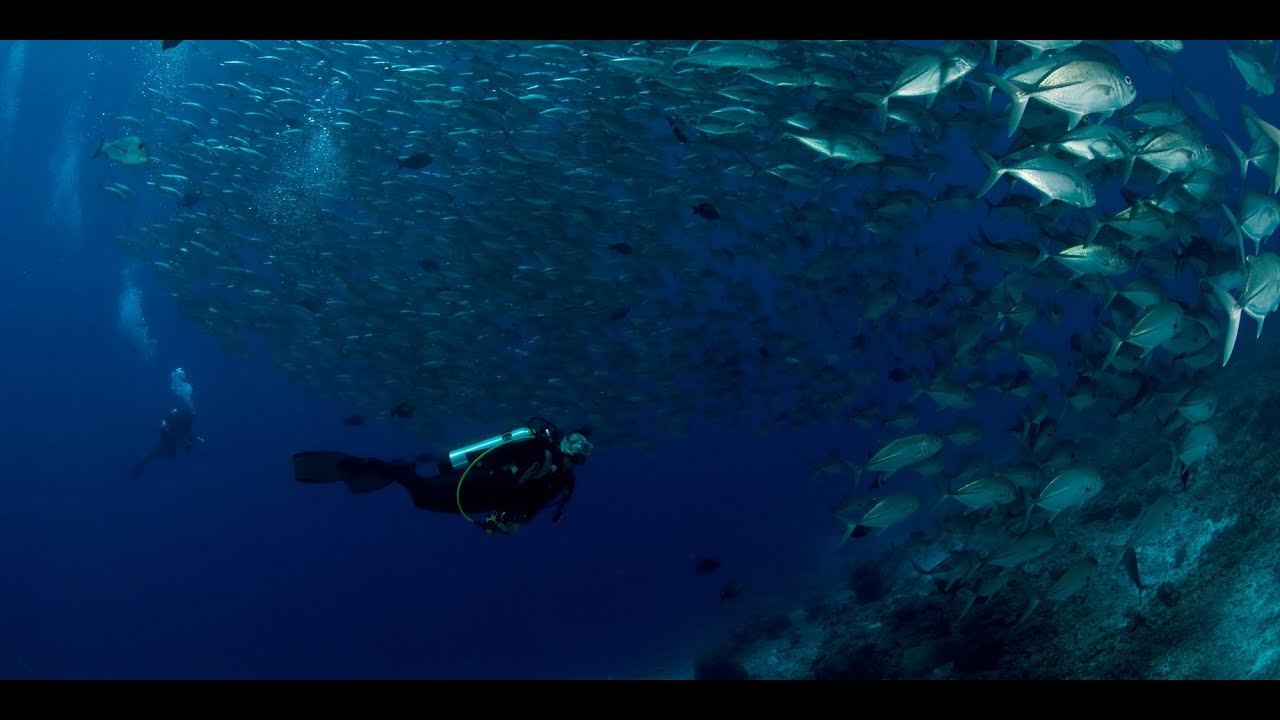 Atlantis Azores - Calanggaman Island - YouTube