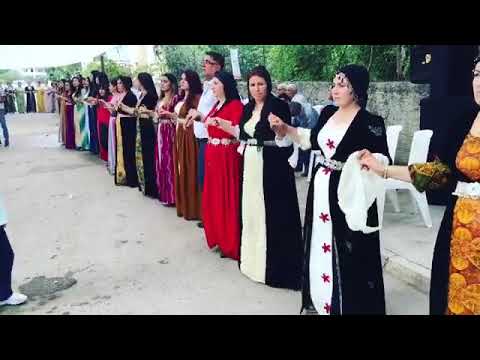 Koma Berfin Adana Hakkari Aşireti Düğünü