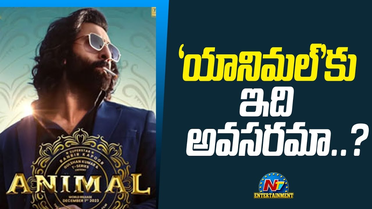 Ranbir Kapoor's Animal Movie Trailer Released| Rashmika Mandanna ...