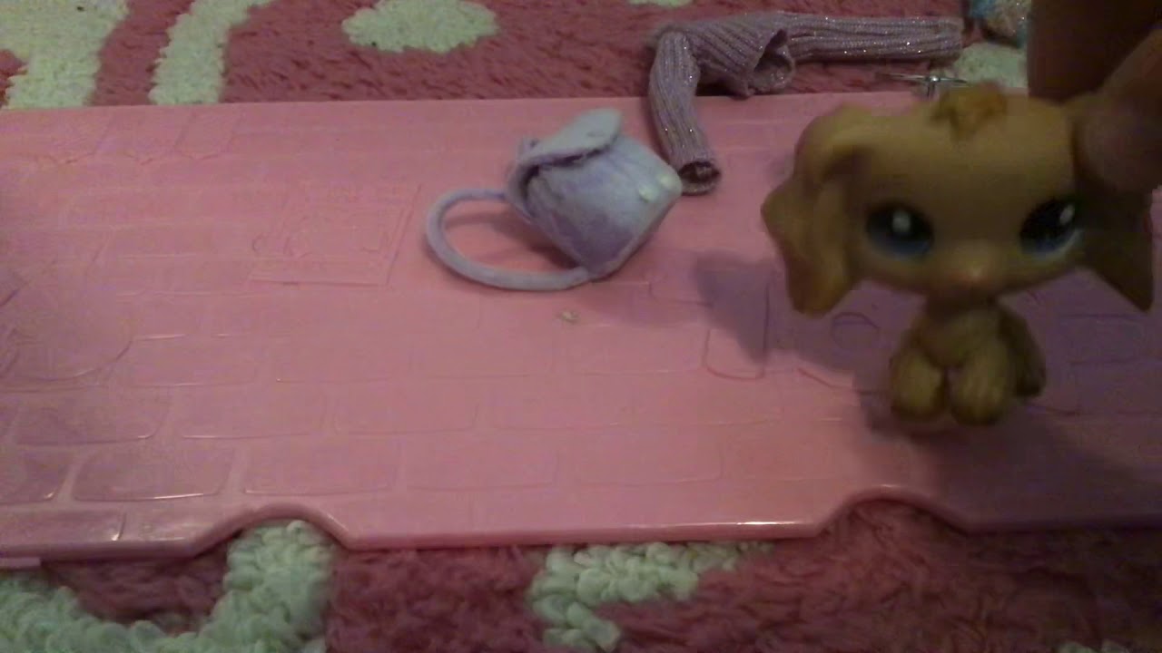 Toy review (and how to make lps Outfit - YouTube