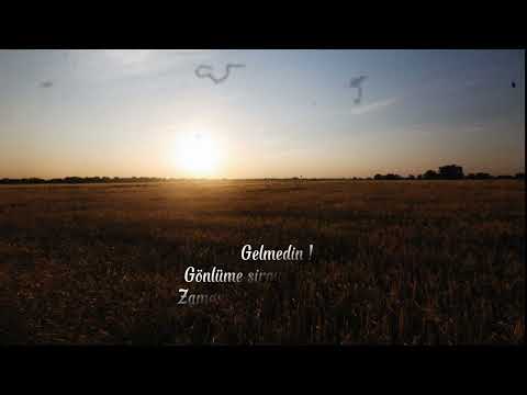 Gelmedin ;Sende kaldı bahar -Ömer Çetin -(Şiir)
