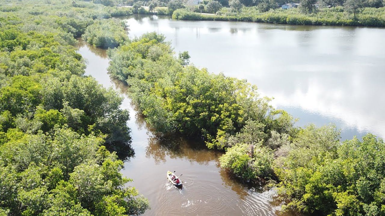 Florida 'rights of nature' amendment protects ecosystems and the right ...