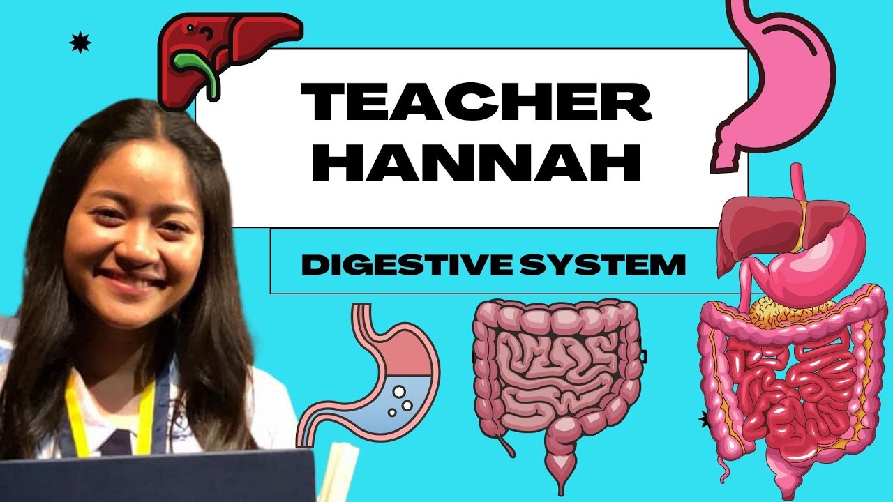 Teaching Demo in Science Digestive System - YouTube