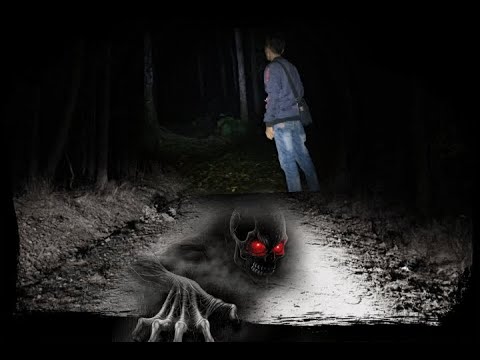 Dw live stream history - YouTube