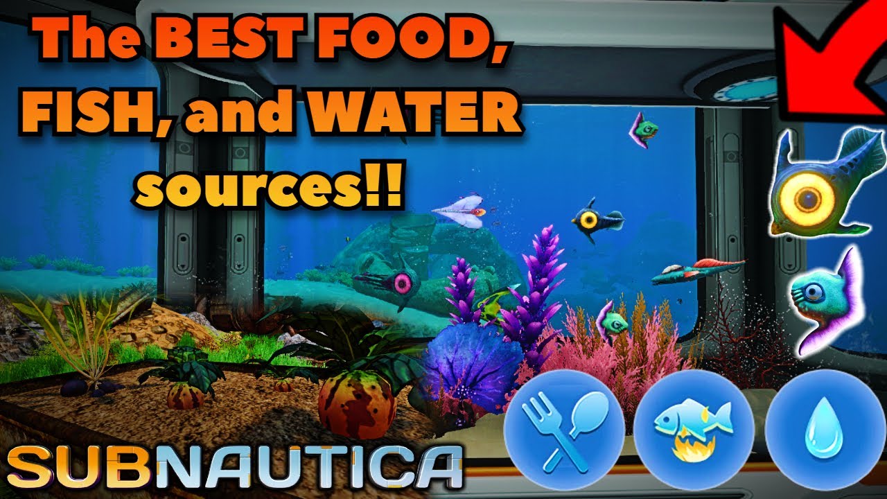 BEST FOOD and WATER sources in Subnautica! - YouTube