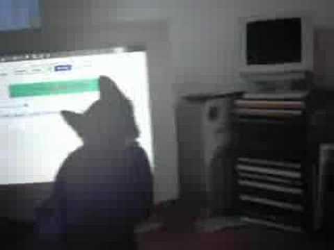 Cat checking its mail - YouTube