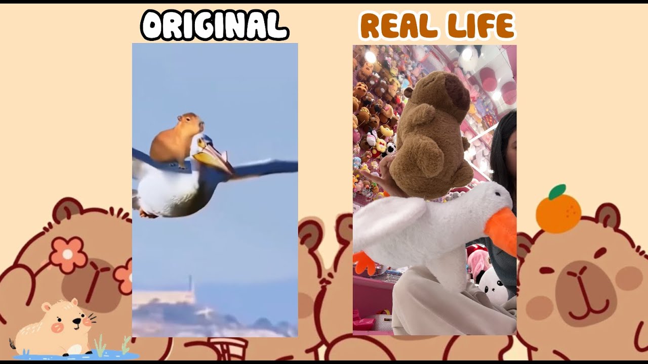 BEST TIKTOK OF CAPYBARA but recreated in REAL LIFE #bemorishow #shorts ...