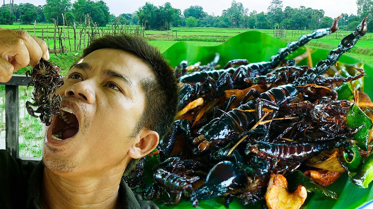 Catch And Cook Scorpion | Deep Fry Scorpion Crispy And Eating. - YouTube