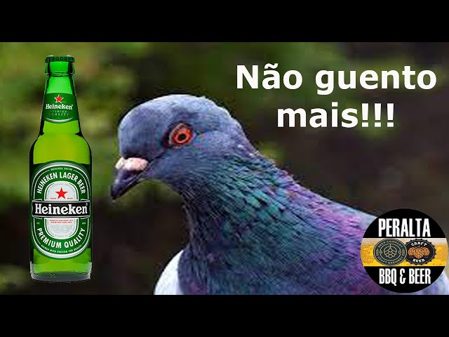 Memes Pomba Revolta Dos Pombos | Memes Hu3 BR Amino