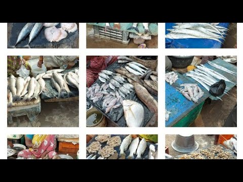 Fish market uppada - YouTube