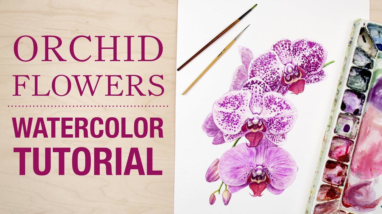 How to Paint Orchid Flowers // Botanical Watercolor Tutorial - YouTube