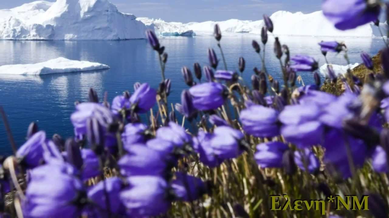 ΚΥΜΑΤΑ ΤΟΥ ΔΟΥΝΑΒΕΩΣ ☼ ⊱╮ HUNGARIAN BLUE ORCHESTRA. - YouTube