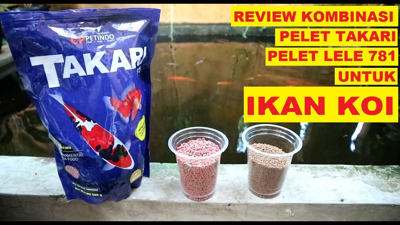 FULL REVIEW PELET TAKARI DAN PELET LELE 781 UNTUK IKAN KOI - YouTube