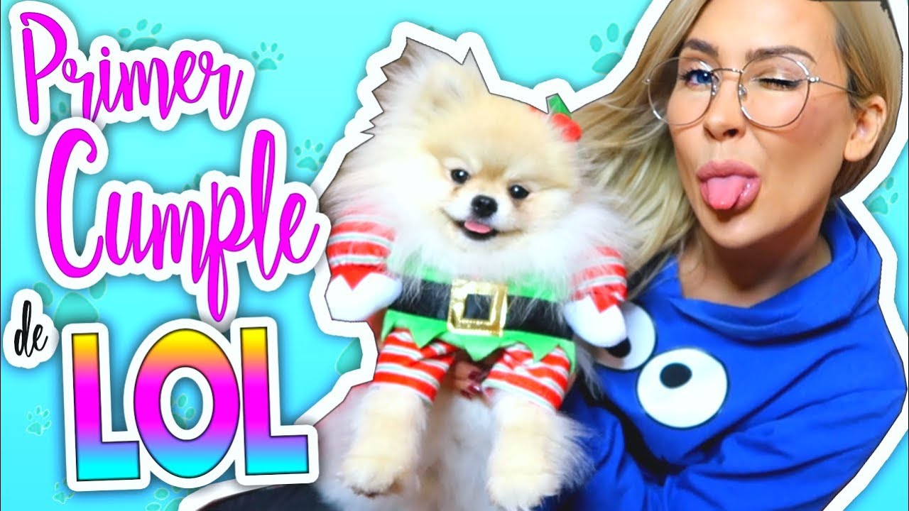 El Primer Cumpleaños de Mr LOL 🐶 | SORPRENDO A MI CACHORRO | Lizy P ...