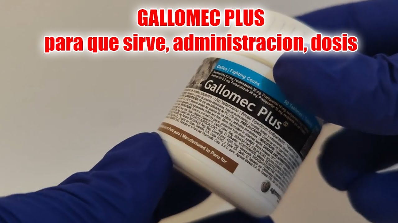 gallomec plus gallos para que siorve como se usa dosis y administracion ...