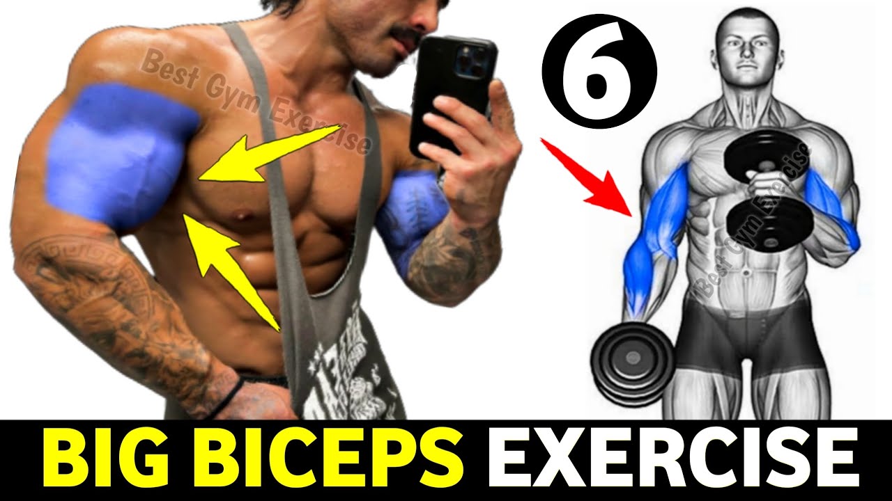 6 Perfect Biceps Exercises For Mass - Bicep Workout - YouTube