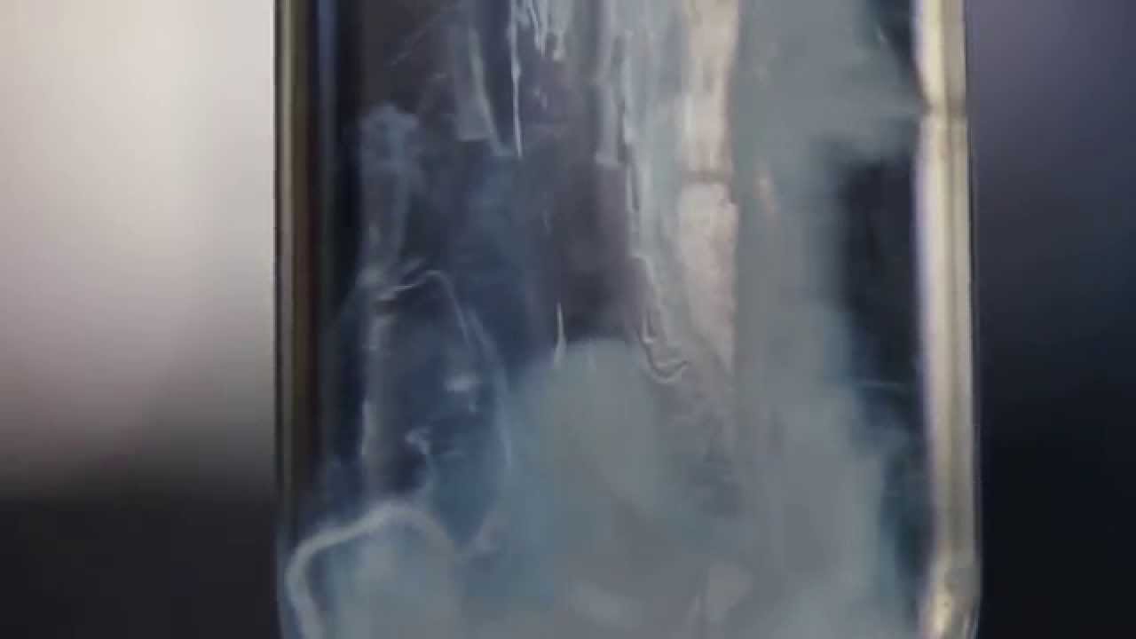Precipitación de Cloruro de Plata AgCl - YouTube