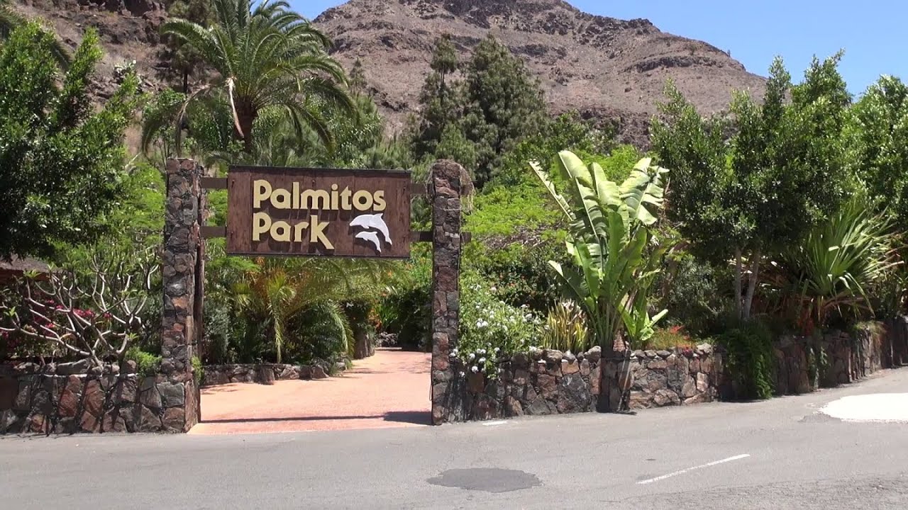 Palmitos Park, Maspalomas, Gran Canaria - YouTube