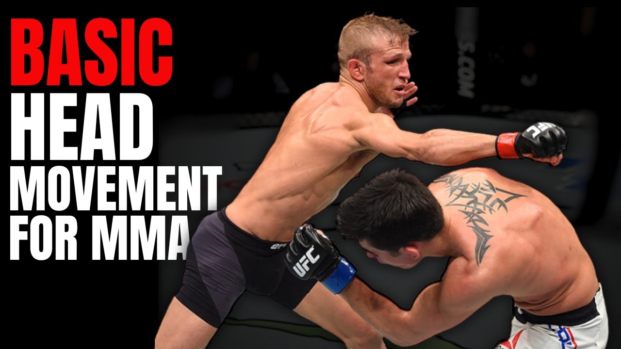 Understand Head Movement Basics for MMA - YouTube