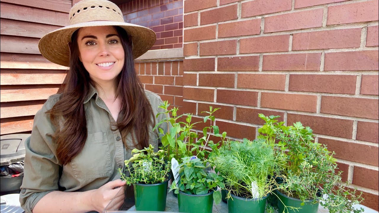 Starting My Herb Container Garden | Chicago Gardener - YouTube