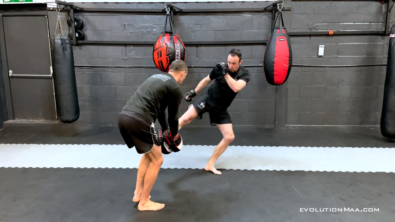 Evolution Martial Arts Academy