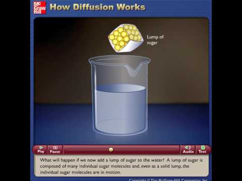 How Diffusion Works - YouTube