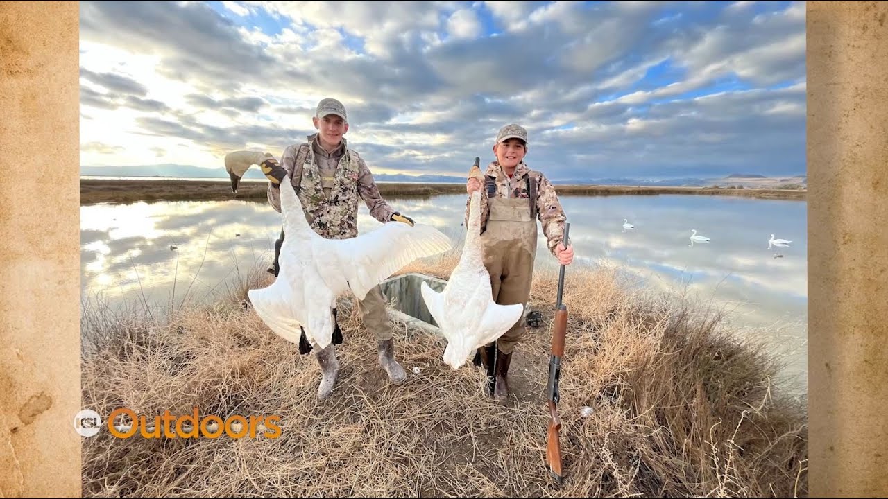Snapshot of the Week: November 26, 2022 - YouTube