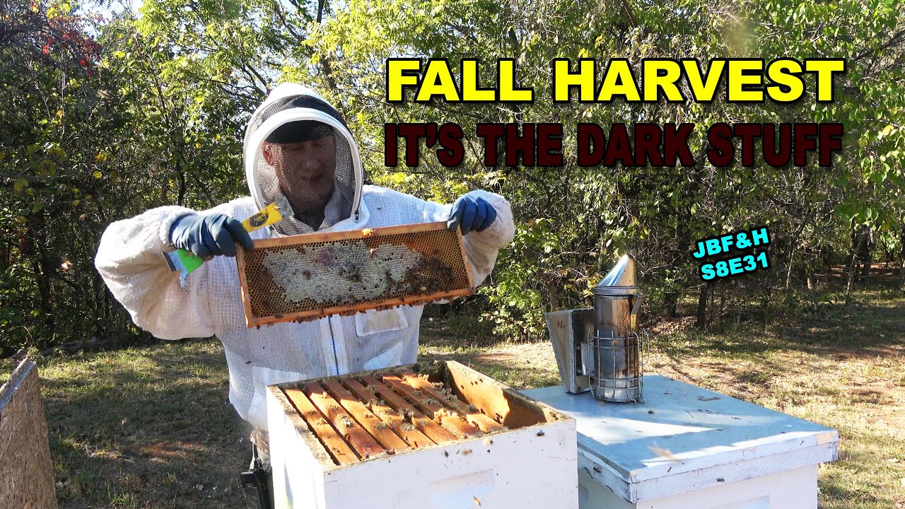 Fall Honey Harvest S8E31 #beekeeping - YouTube