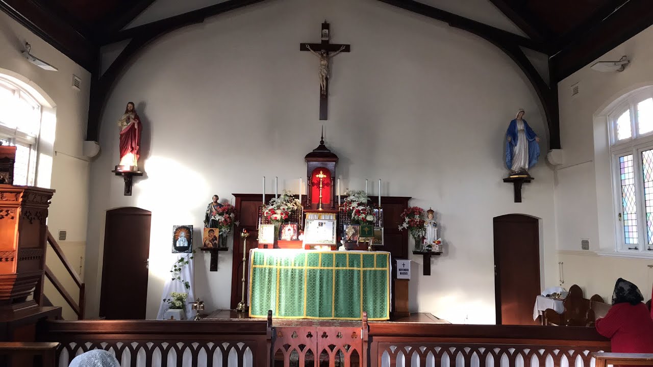 Live Traditional Latin Low Mass Friday 11 November 2022 @St Anne’s - St ...