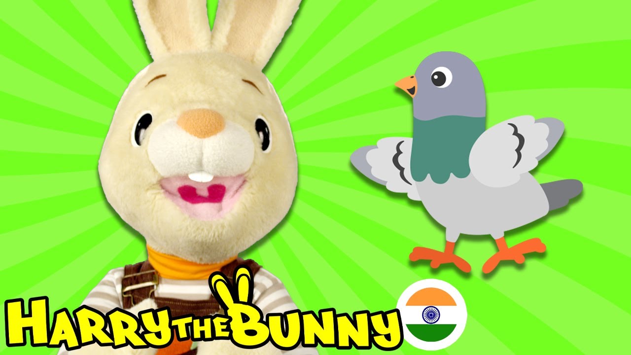 हैरी द बनी के साथ जानवरों और पूर्वसर्गों को जानें | @BabyFirst Learn ...